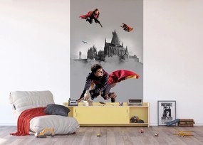 Dětská vliesová fototapeta na zed' Harry Potter Famfrpálové Trio | 150 x 270 cm | DFTD2P5613
