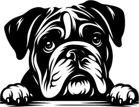 Samolepka pes Bulldog
