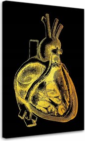 Obraz na plátně, Anatomie srdce ve zlatě 40x60