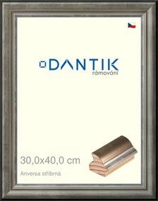 DANTIK rámeček 30x40 | ANIVERSA stříbrná (Plexi Čiré)