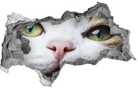 Wallmuralia Díra 3D fototapeta nálepka Zelená kočičí oči 95x73 cm