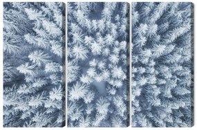 Vícedílný obraz Letecký Pohled Na Zimní Les Nedostatek Nedostatek Přírodní plátno 180x120