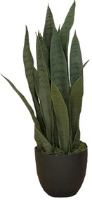 Artificial plant Sansewieria Zelenice 65cm
