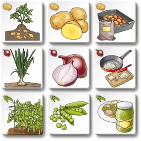 EFKO Hra Pexetrio Ovoce a zelenina 36 dílků *SPOLEČENSKÉ HRY* ef8840