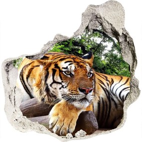 Wallmuralia Díra 3D fototapeta na stěnu Tygr na skále 75x75 cm