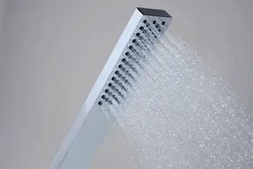 Hansgrohe - Sprchová hlavice, EcoSmart, chrom