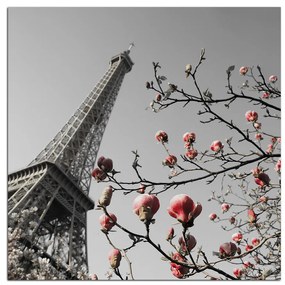 Obraz na plátně - Eiffelova věž v jarním období - čtverec 334ČA (50x50 cm)