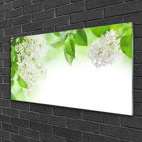 Obraz na skle Plátky Rostlina Příroda 140x70 cm