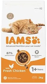 Eukanuba komerční, Iams Iams Cat Adult Chicken 2kg