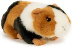 TEDDIES Plyšové morče / 16 cm / od 0 měsíců