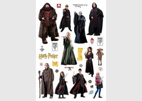 Dětská samolepka na zeď Harry Potter | 42.5 x 65 cm | DDK1643