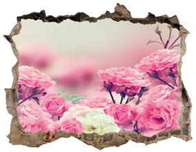 Wallmuralia Samolepící díra na stěnu Květiny divoké růže 95x64 cm