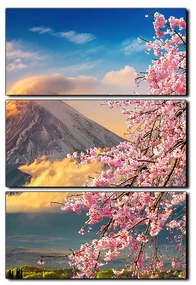Obraz na plátně - Hora Fuji a třešňové květiny na jaře- obdélník 7266B (90x60 cm  )