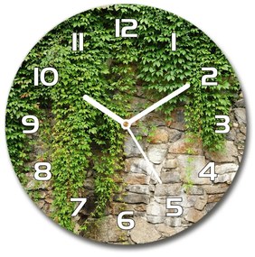 Wallmuralia Skleněné hodiny kulaté Zelený břečťan fi 30 cm