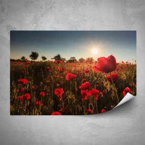 Plakát - Červené vlčí máky (60x40 cm) - PopyDesign