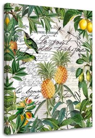Gario Obraz na plátně Tropické ovoce a kaligrafie - Andrea Haase Rozměry: 40 x 60 cm
