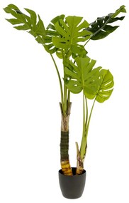 Umělá monstera (výška 130 cm) – Kave Home