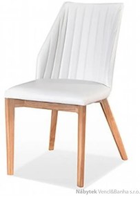 dřevěná jídelní židle z masivního dřeva Aspen chojm