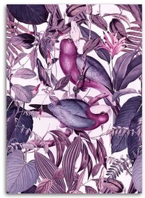 Gario Obraz na plátně Tropičtí ptáci 4 - Andrea Haase Rozměry: 40 x 60 cm