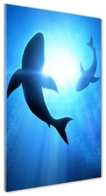 Wallmuralia Vertikální Foto obraz skleněný svislý Siluety žraloků 50x100