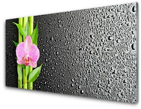 Obraz na skle Bambus Stonke Květ Rostlina 120x60 cm