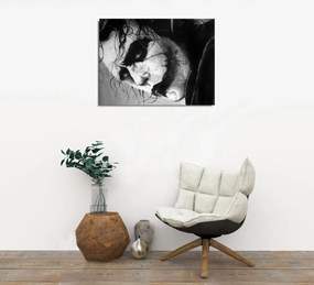 Obraz JOKER 30x40 cm šedý