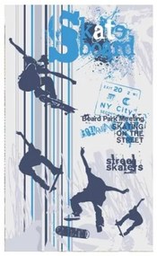 DIMEX | Vliesová fototapeta na zeď Skate MS-2-0313  | 150 x 250 cm | modrá, šedá
