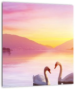 Obraz zamilovaných labutí (30x30 cm)