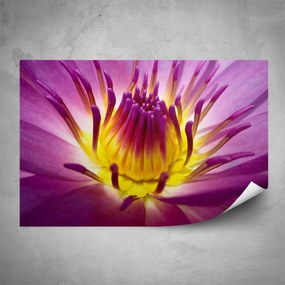 Plakát - Fialový květ makro (60x40 cm) - PopyDesign