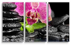Sablio Obraz - 3-dílný Orchidej na kamenech - 120x80 cm