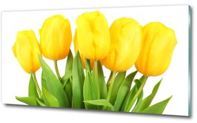 Wallmuralia Foto-obrah sklo tvrzené Žluté tulipány 100x50