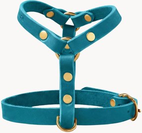 Kožený postroj pro psa Y-Harness, v různých velikostech