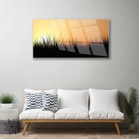 Obraz na skle Plevel Příroda Rostlina 125x50 cm