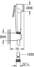 Grohe Tempesta-F - Bidetová sprška s držákem a hadicí Hard Graphite