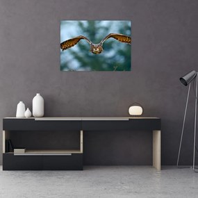 Skleněný obraz - Sova při letu (70x50 cm)