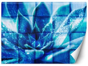 Fototapeta, Modrá květina - 250x175 cm