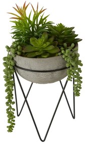 Umělý sukulent (výška 36 cm) Fiori – Premier Housewares