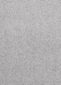 Koberce Breno Metrážový koberec DAKOTA 1025 - 73, šíře role 400 cm, Šedá
