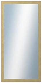 DANTIK - Zarámované zrcadlo - rozměr s rámem cca 60x120 cm z lišty ANDRÉ velká starostříbrná (3156)