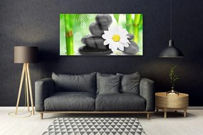 Plexisklo-obraz Bambus Kameny Zen Květ 120x60 cm