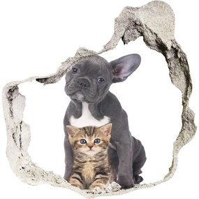 Wallmuralia Díra 3D fototapeta na stěnu Pes a kočka 75x75 cm