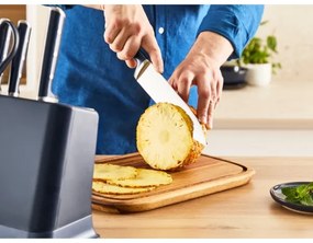 Tefal - Kuchyňský nůž se stojanem EVER SHARP 20 cm