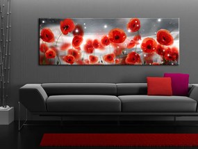 Obraz Hvězdné máky (1-dílný) - Červené polní květiny ve světle hvězd