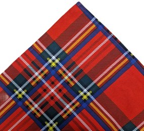 David Textilní utěrka/napron červená káry 3 ks
