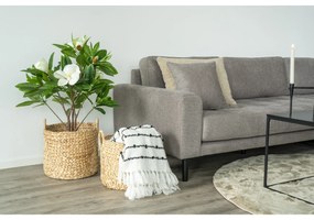 House Nordic Set 2 košíků PASSO 4401360