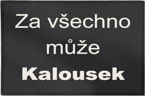 Rohožka Kalousek 40x60 cm – na von aj na doma, 40x60, čierna, GDmats
