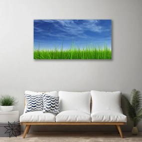 Obraz na plátně Nebe Tráva Příroda 140x70 cm