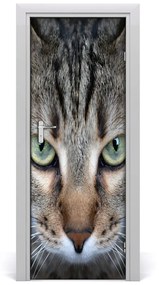 Samolepící fototapeta na dveře Oči kočky 95x205 cm
