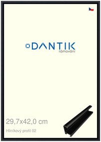 DANTIK rámeček 29,7x42 | ALU profil 7002 Černá matná (Plexi Čiré)