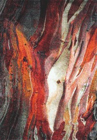 Spoltex, Kusový koberec Rust red 21304-910, 160x230, vícebarevná, obývací pokoj
